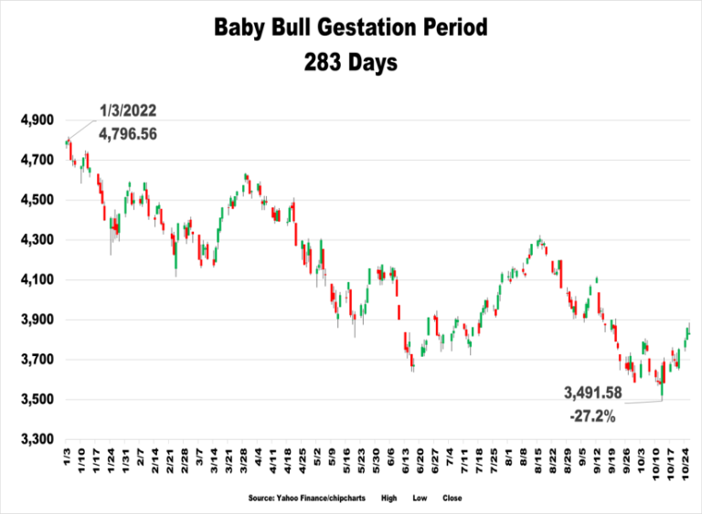 Baby Bull Gestation Period is 283 Days - Financial Advisors